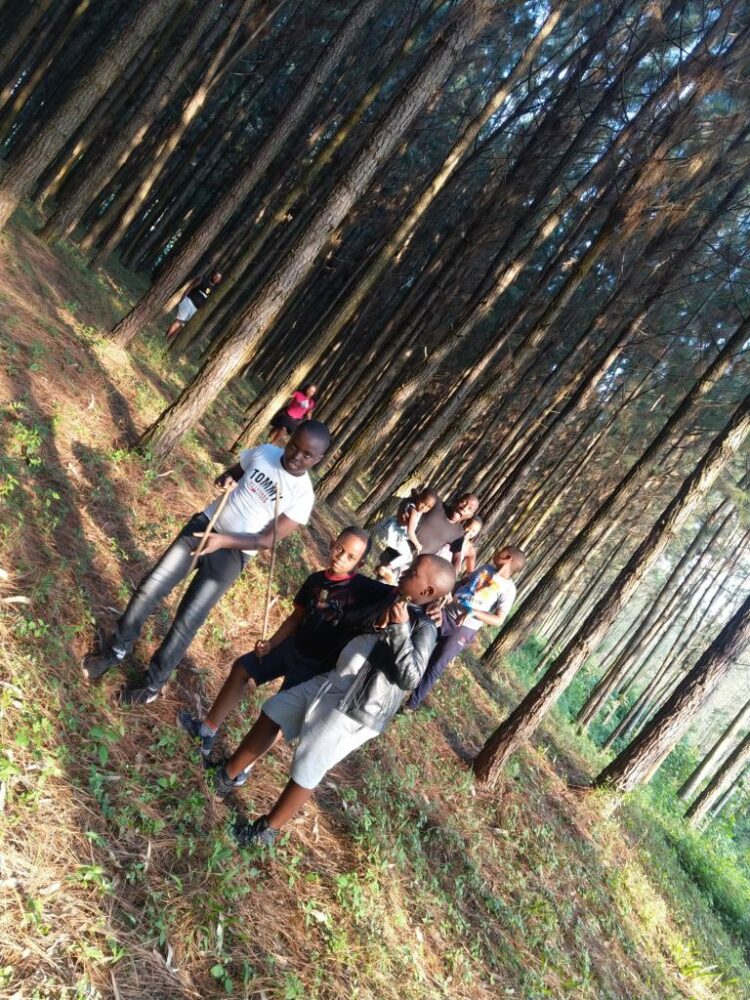 Nyungu ya Maawe, an escape in the forest park close by the city centre ...
