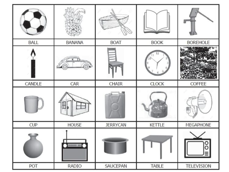 EC Unveils Official Party and Independent Candidate Symbols Ahead of ...