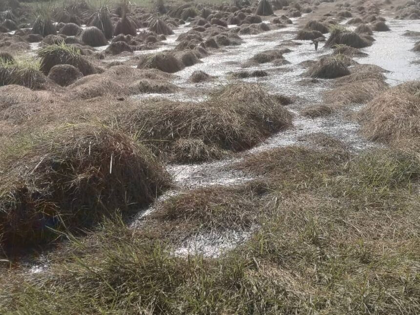 Luweero: Local company faces Legal Consequences Over Unlawful dumping ...